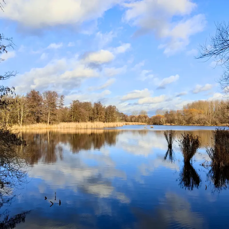 Vier auf einen Streich – Naturschutzgebiete rund um den Bucher Forst ...