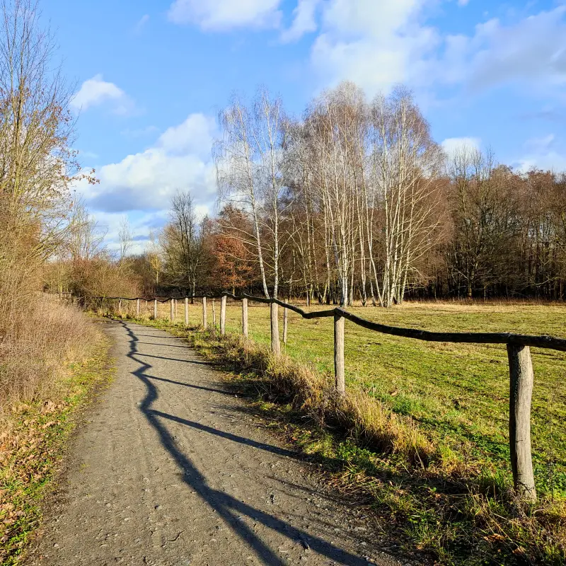 Vier auf einen Streich – Naturschutzgebiete rund um den Bucher Forst ...