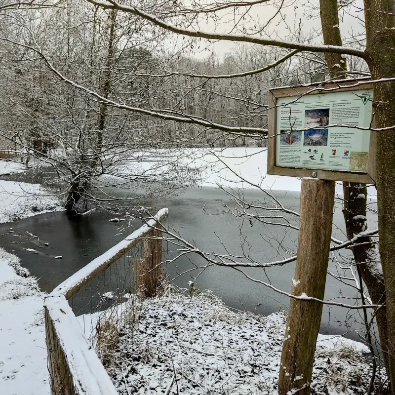Winterliche Grunewaldwanderung um den Teufelsberg – Wanderfeeling in ...
