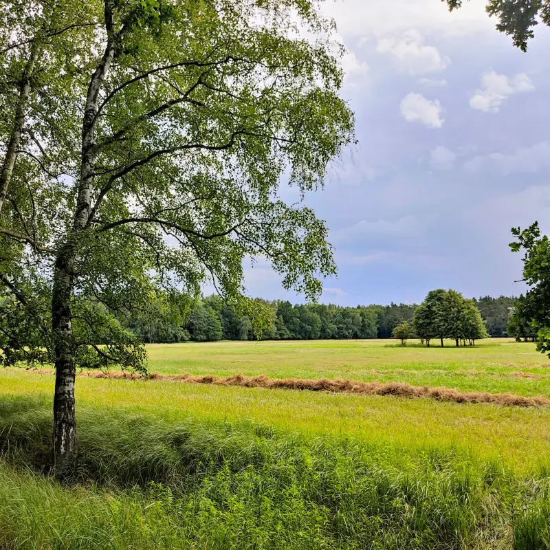 Entlang der wildromantischen Kuhlake durch den Spandauer Forst ...
