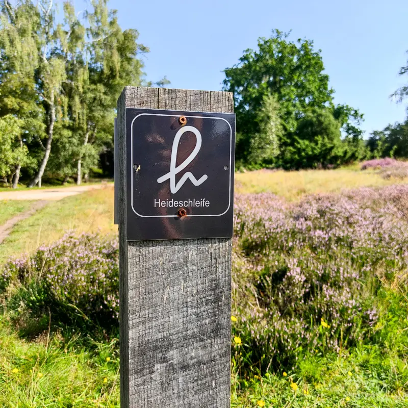 Auf der Heideschleife Wilseder Berg durch das Herz der Lüneburger Heide ...