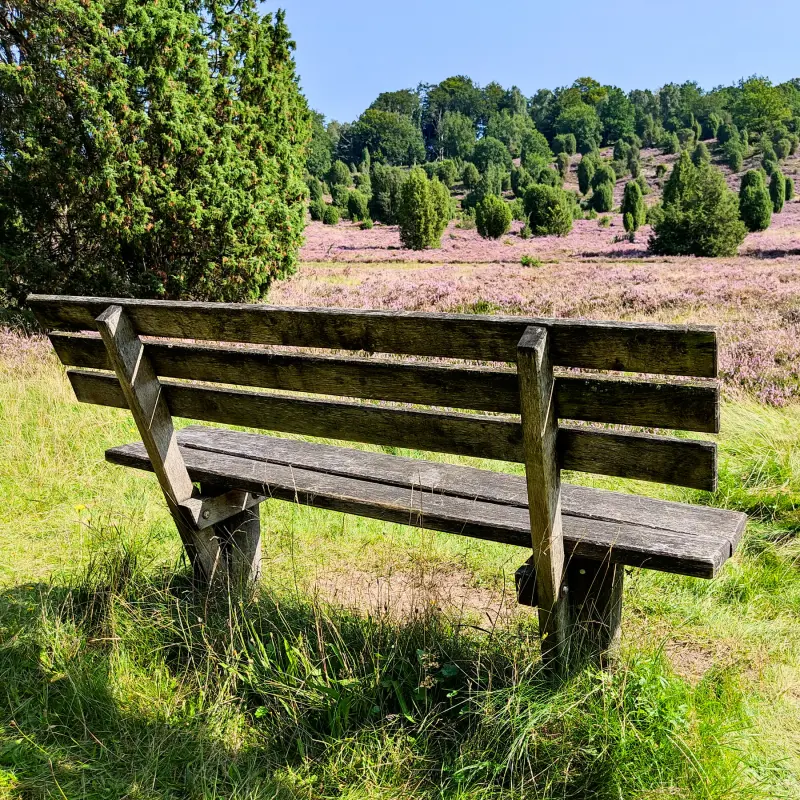 Auf der Heideschleife Wilseder Berg durch das Herz der Lüneburger Heide ...