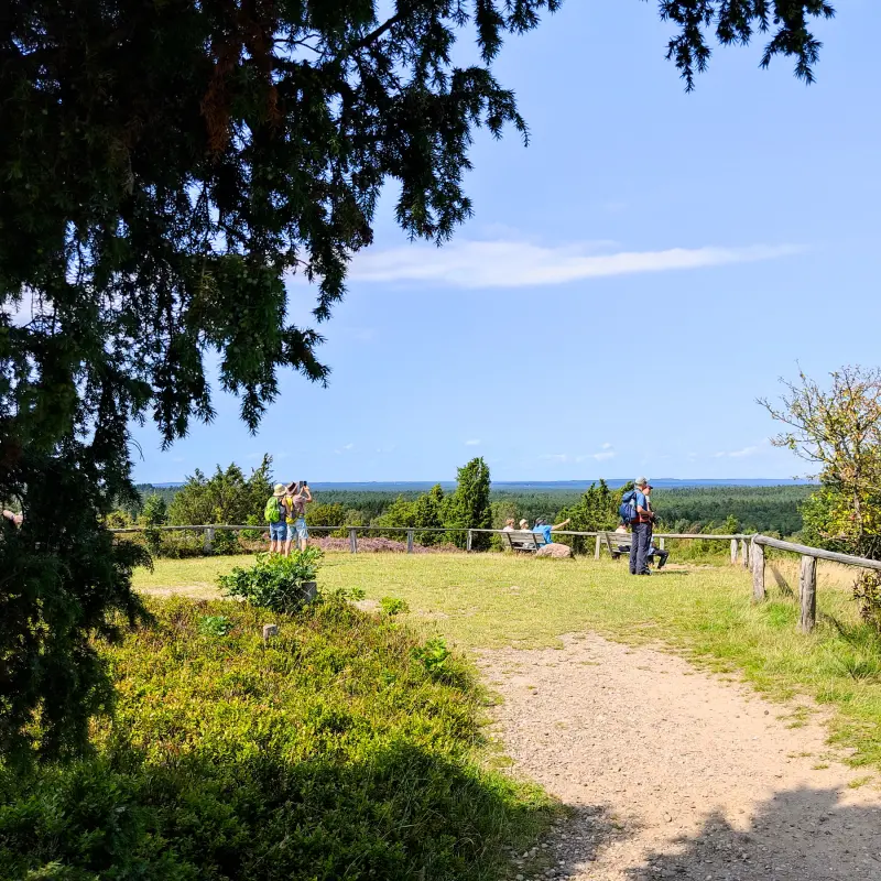Auf der Heideschleife Wilseder Berg durch das Herz der Lüneburger Heide ...