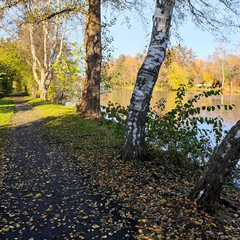 Rund um den Tegeler See von der Greenwichpromenade zur Wasserstadt und ...