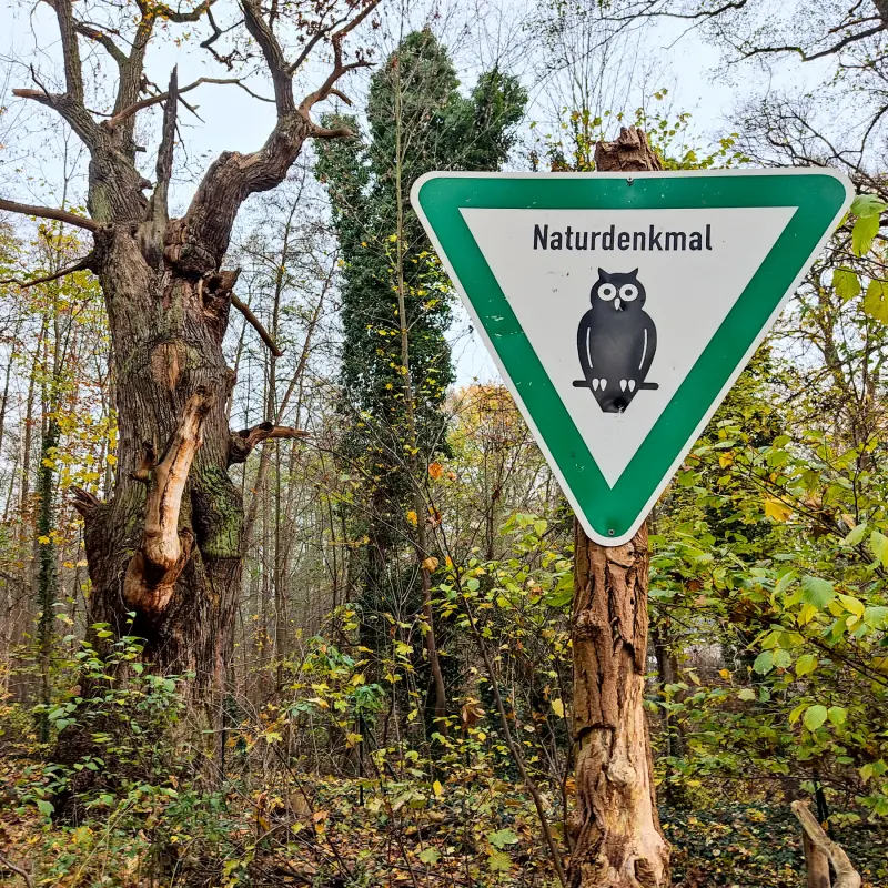 Rund um den Tegeler See von der Greenwichpromenade zur Wasserstadt und ...