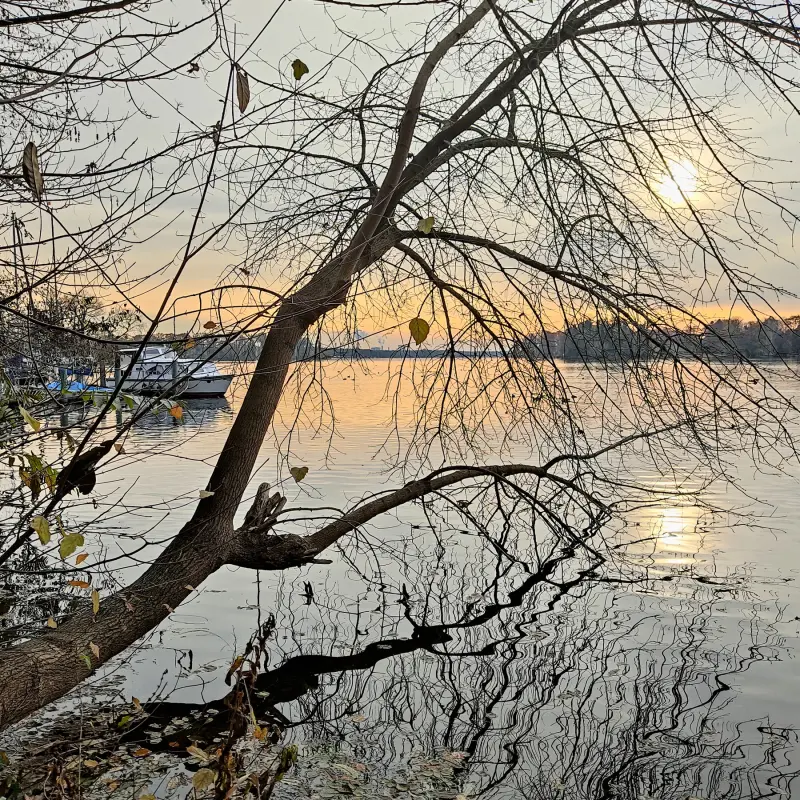 Rund um den Tegeler See von der Greenwichpromenade zur Wasserstadt und ...
